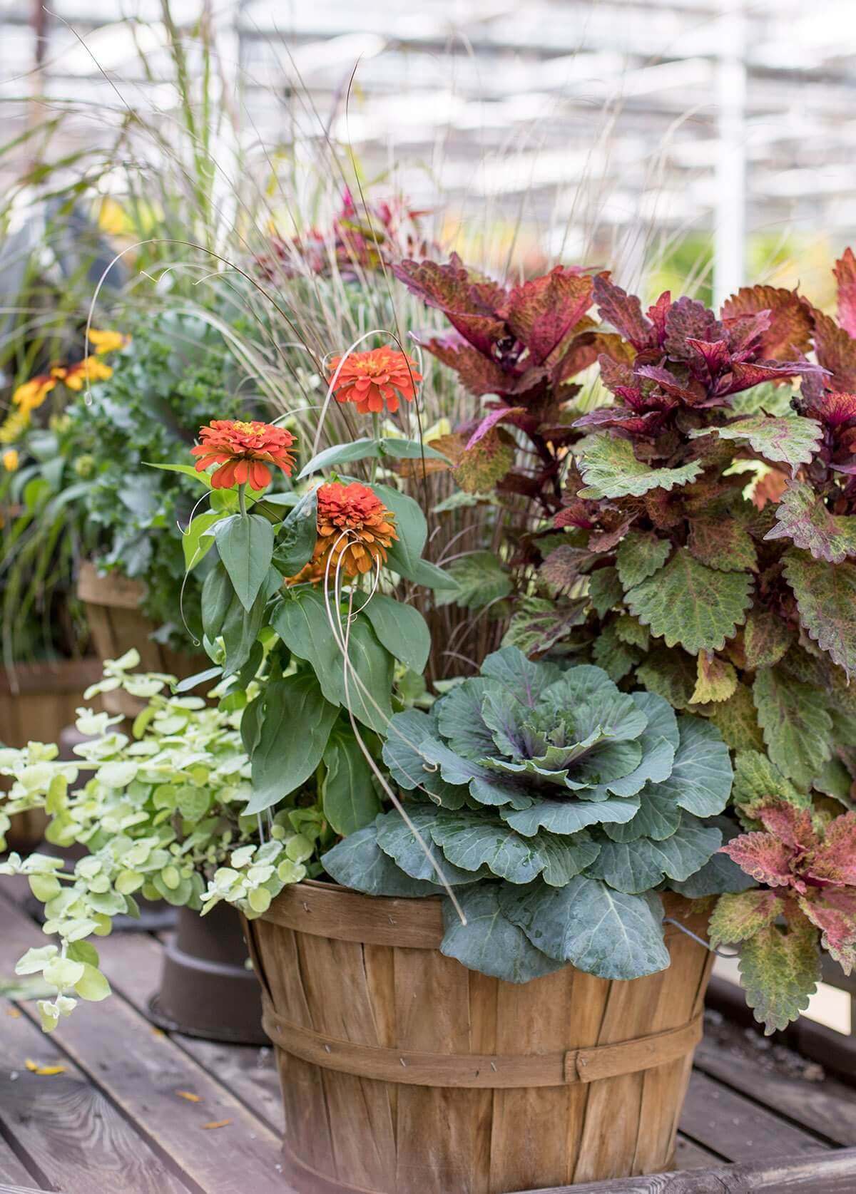 Organic Gardening Fairview Garden Center